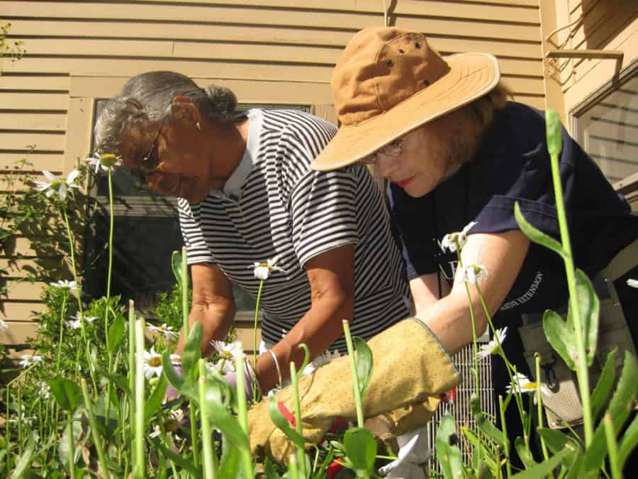 The Power Of We Gardeners * Big Blog of Gardening