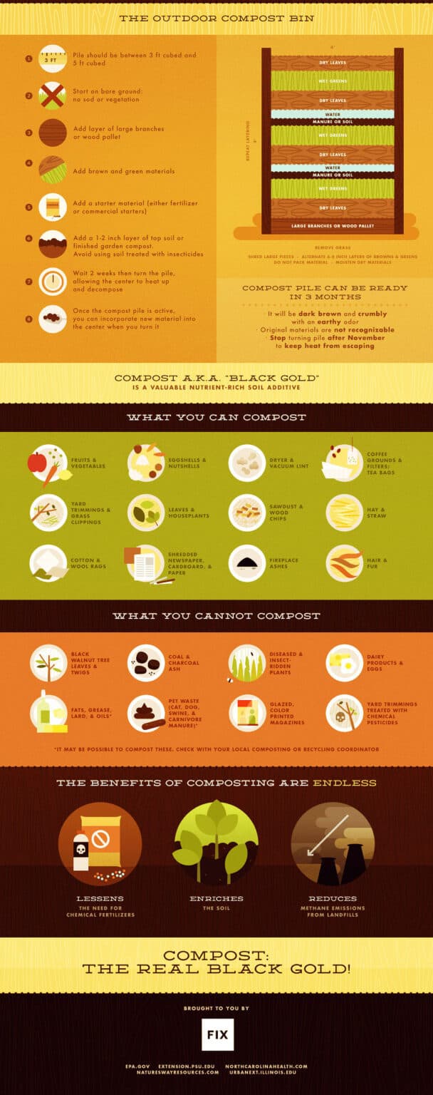 Complete Guide To Composting (Infographic) * Big Blog of Gardening
